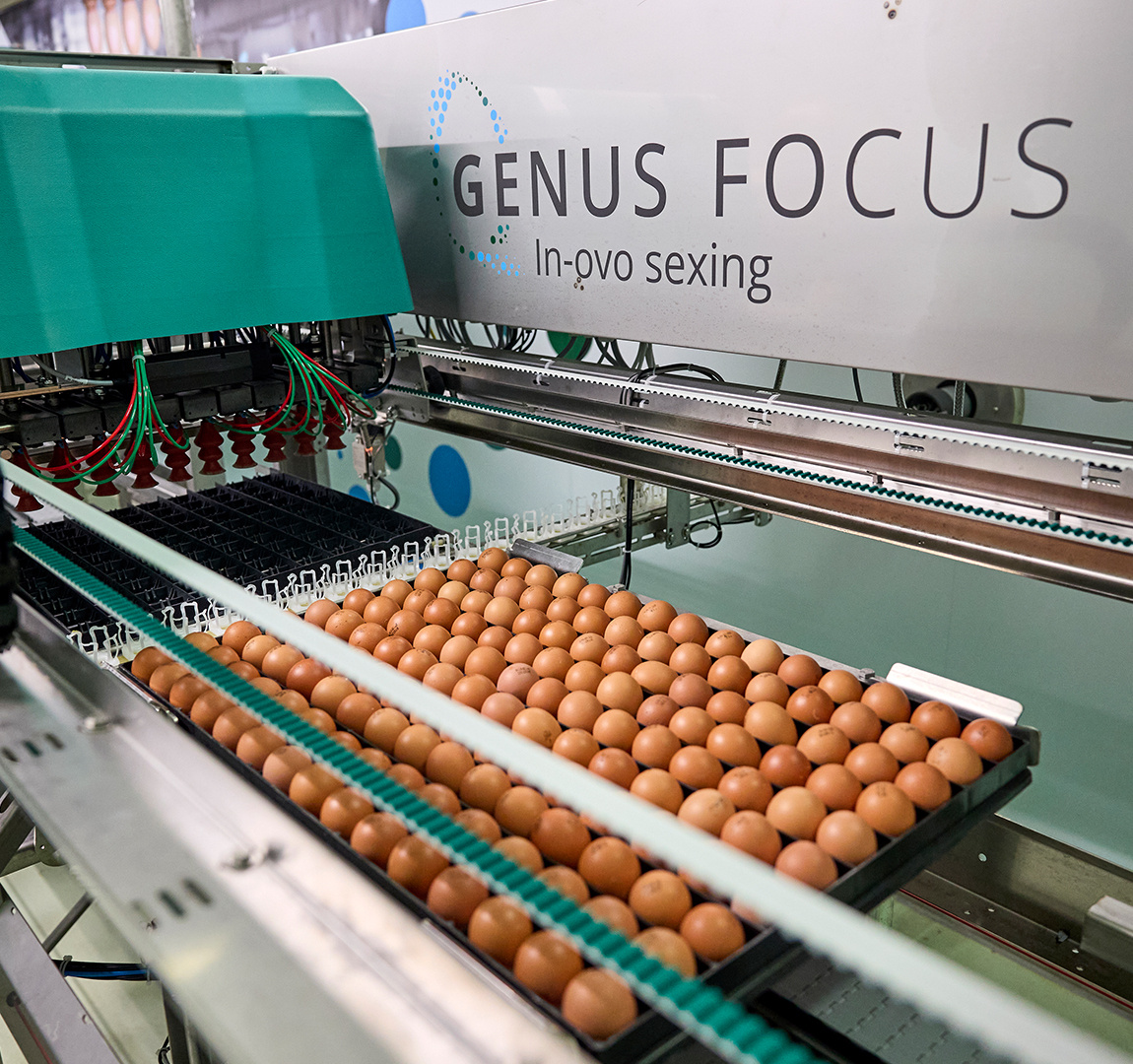 Genus Focus - Vencomatic Group